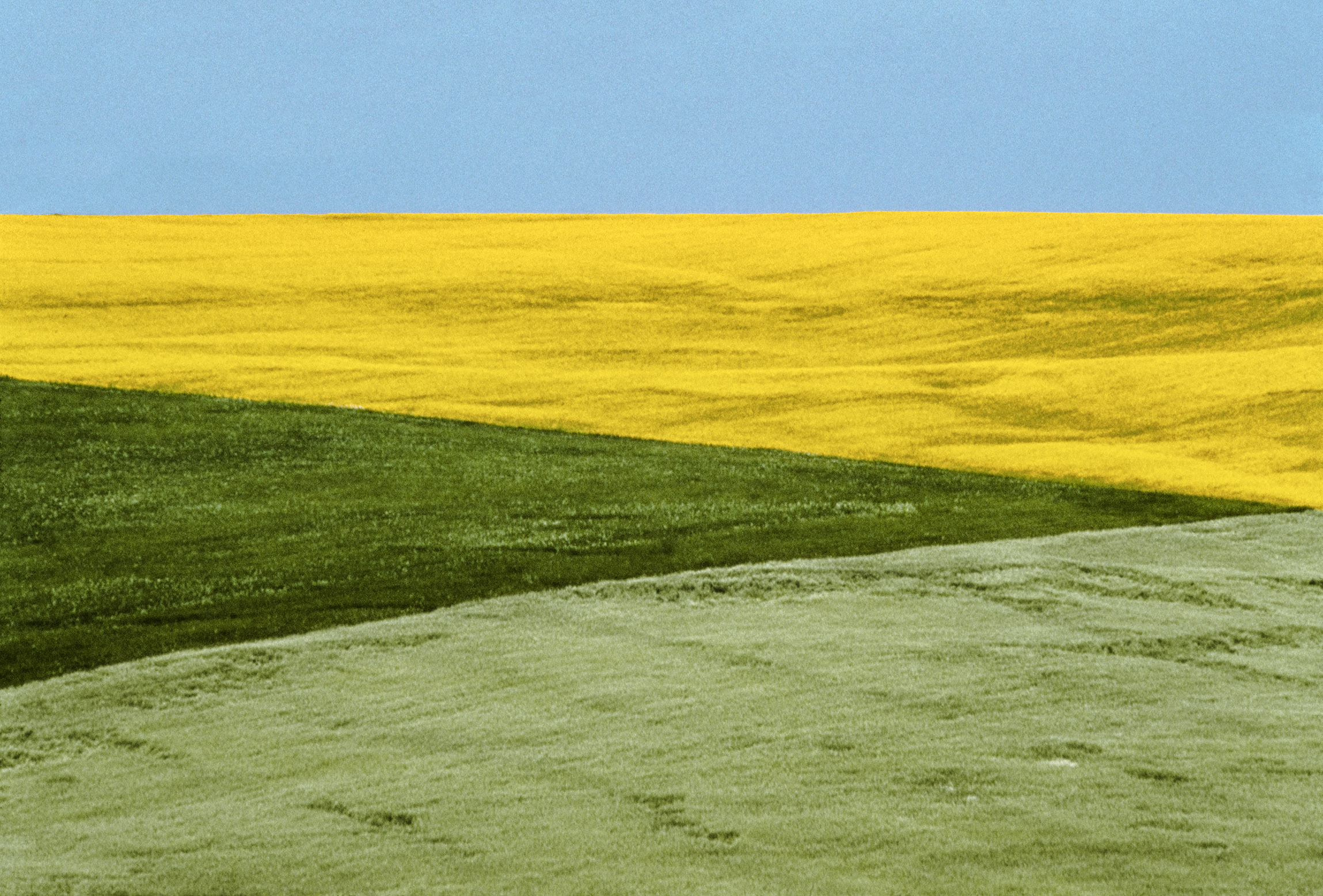 Skyline - Franco Fontana